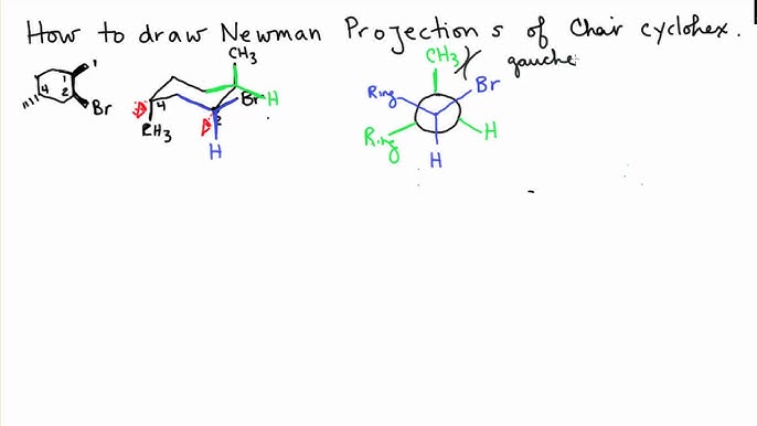 Draw Newman Projections Cyclohexane Draw Newman Projections Cyclohexane