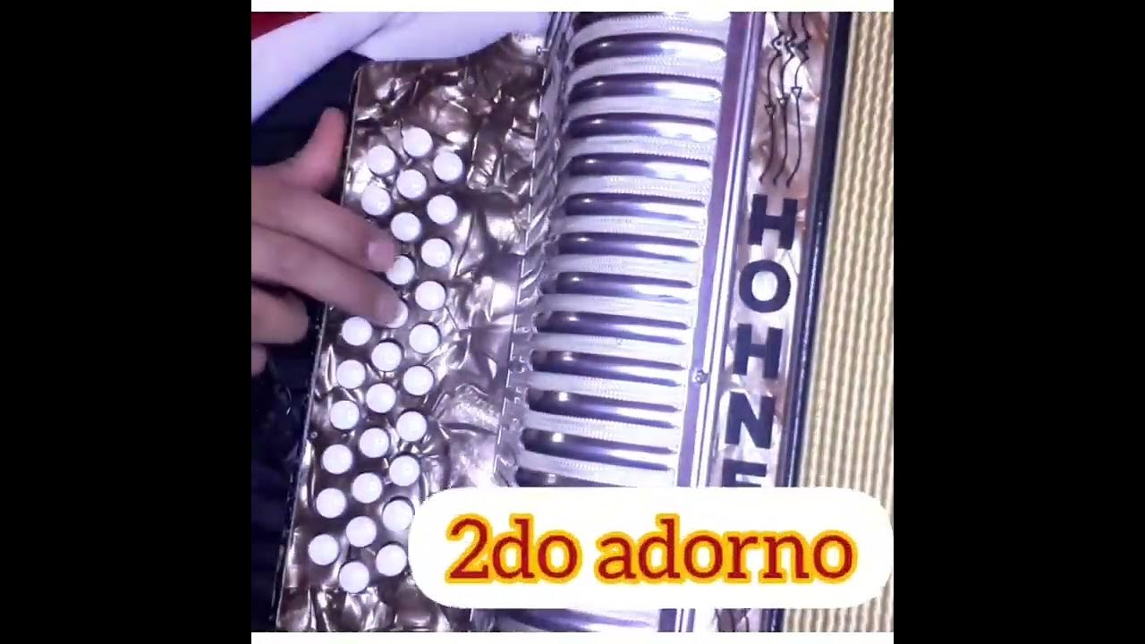 Ni mas rico ni mas pobre - Los Avila.- Acordeon instruccional mas adornos - YouTube