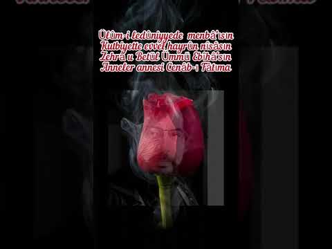 Anneler Annesi Cenâb-ı Fatıma - Muhammed Can (Şeyh Hasanlı) / Seslendiren: Hakan Türker Dülkadiroğlu