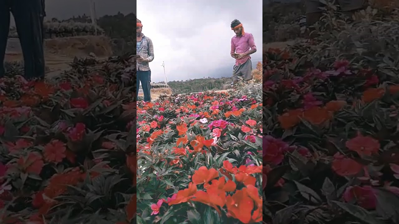 sumir kumar - YouTube