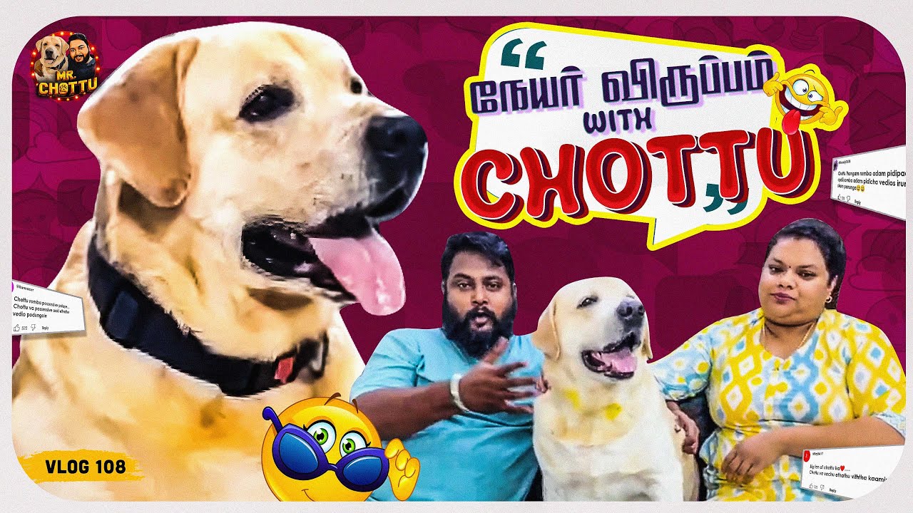 இதோ உங்களுக்காக உங்கள் Chottu🩷 | நேயர் விருப்பம் with chottu | Vlog 107 | Mr.Chottu - YouTube