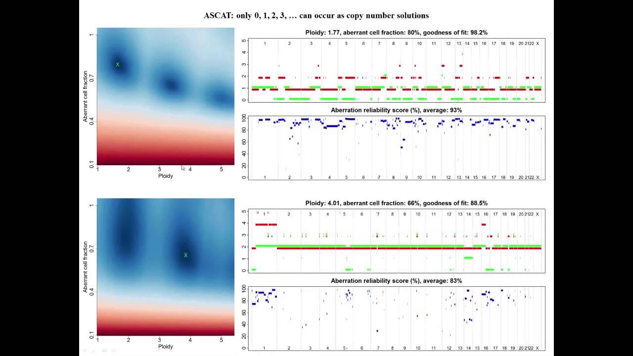 ASCAT Algorithm for Copy Number Analysis of Tumors Using SNP Arrays ...