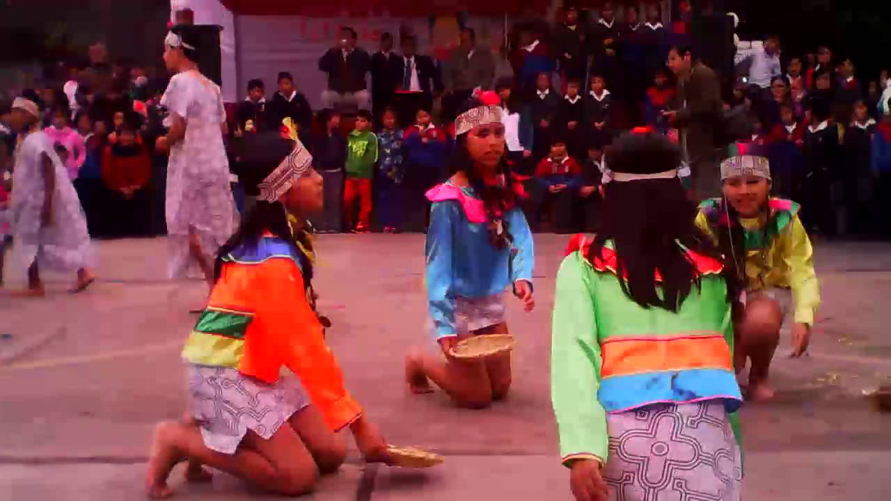 Danza la alegria de las selva 6 B husares de Junin - YouTube