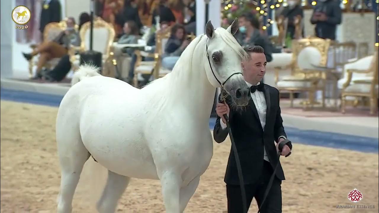 SEWC 2020 - Class 7C - YouTube