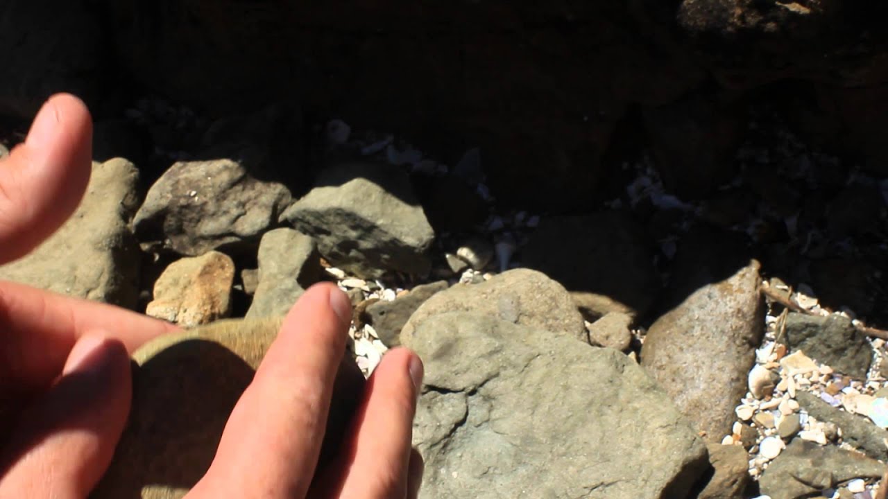 #2 Muller Grinding Stone - Aboriginal Stone Tool - YouTube