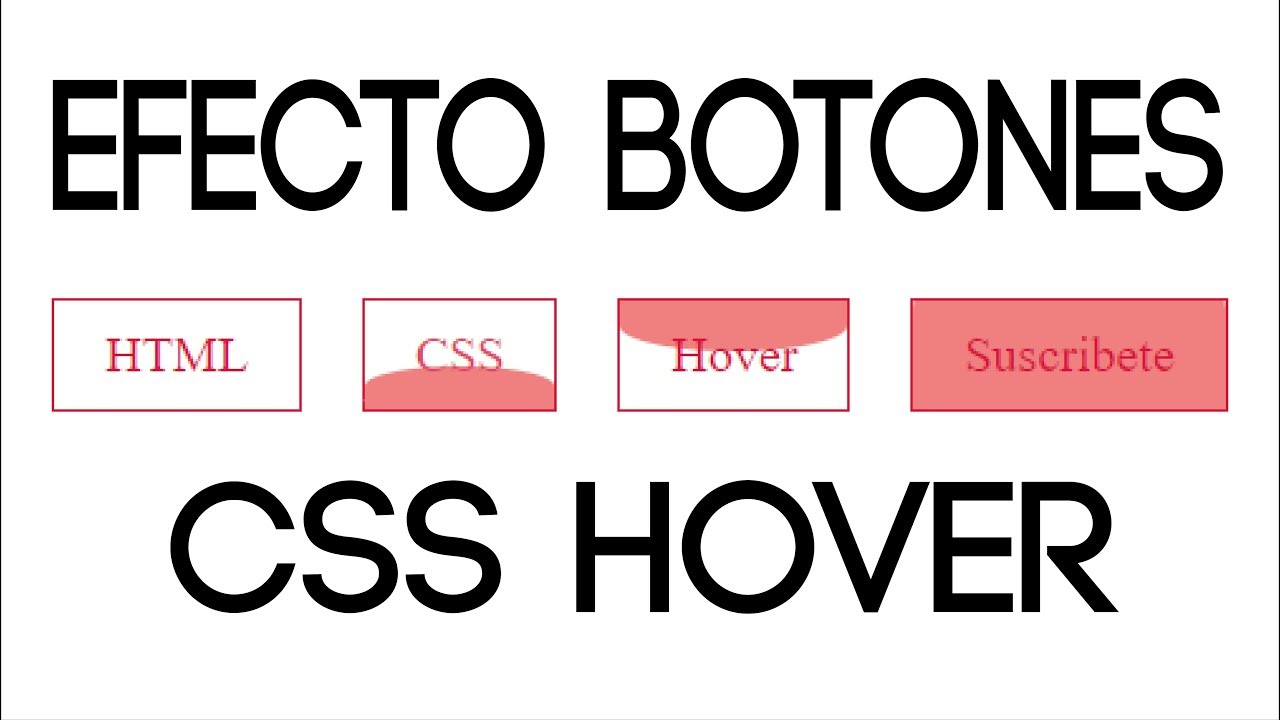 Guerrero Novela de suspenso Conectado efectos hover css para botones ... Guerrero Novela de suspenso Conectado efectos hover css para botones ...