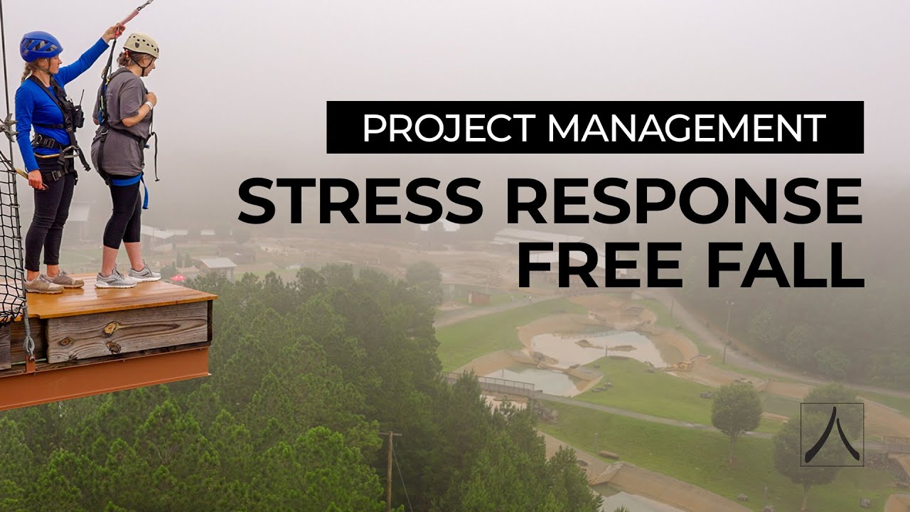 Project managers conquer fear by free fall | stress response management ...