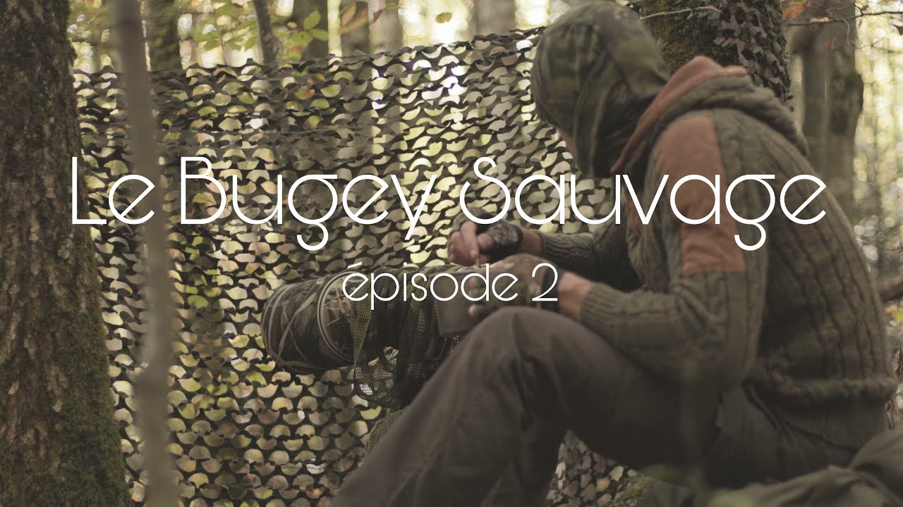 Le Bugey Sauvage #2 (à la recherche du lynx) - YouTube