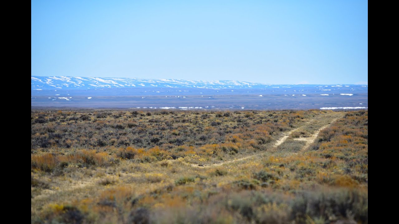 160 Acres - 2 Miles off Paved County Road 63 - YouTube