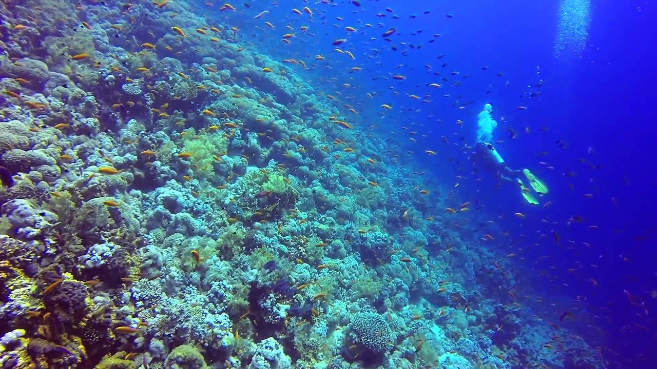 Jackson Reef - Mai 2014 - YouTube