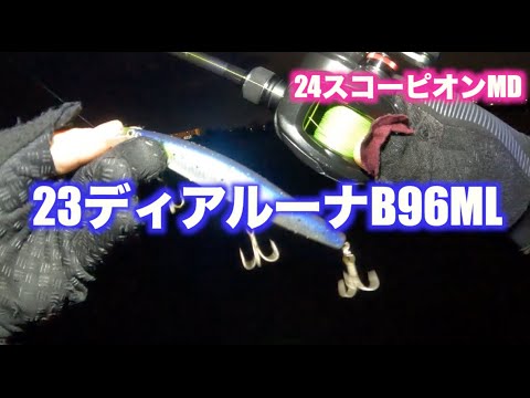 24ラテオと23ディアルーナの違いの感想【23ディアルーナB96mlと24スコーピオンMD200XG】旧江戸川シーバス・チニング/ 9月12日【長潮 下げ 水温27度/釣り場状況報告51】※不 ...
