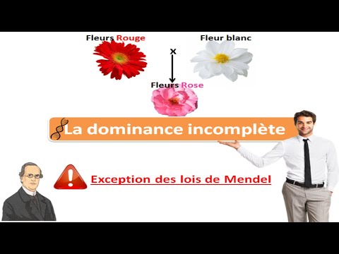 La Dominance incomplète