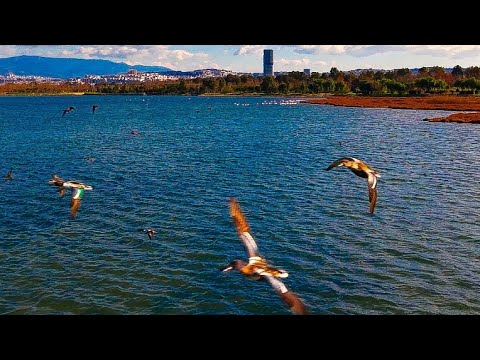 Muhteşem Manzarası ile İzmir İnciraltı.. 4K Drone Çekimi