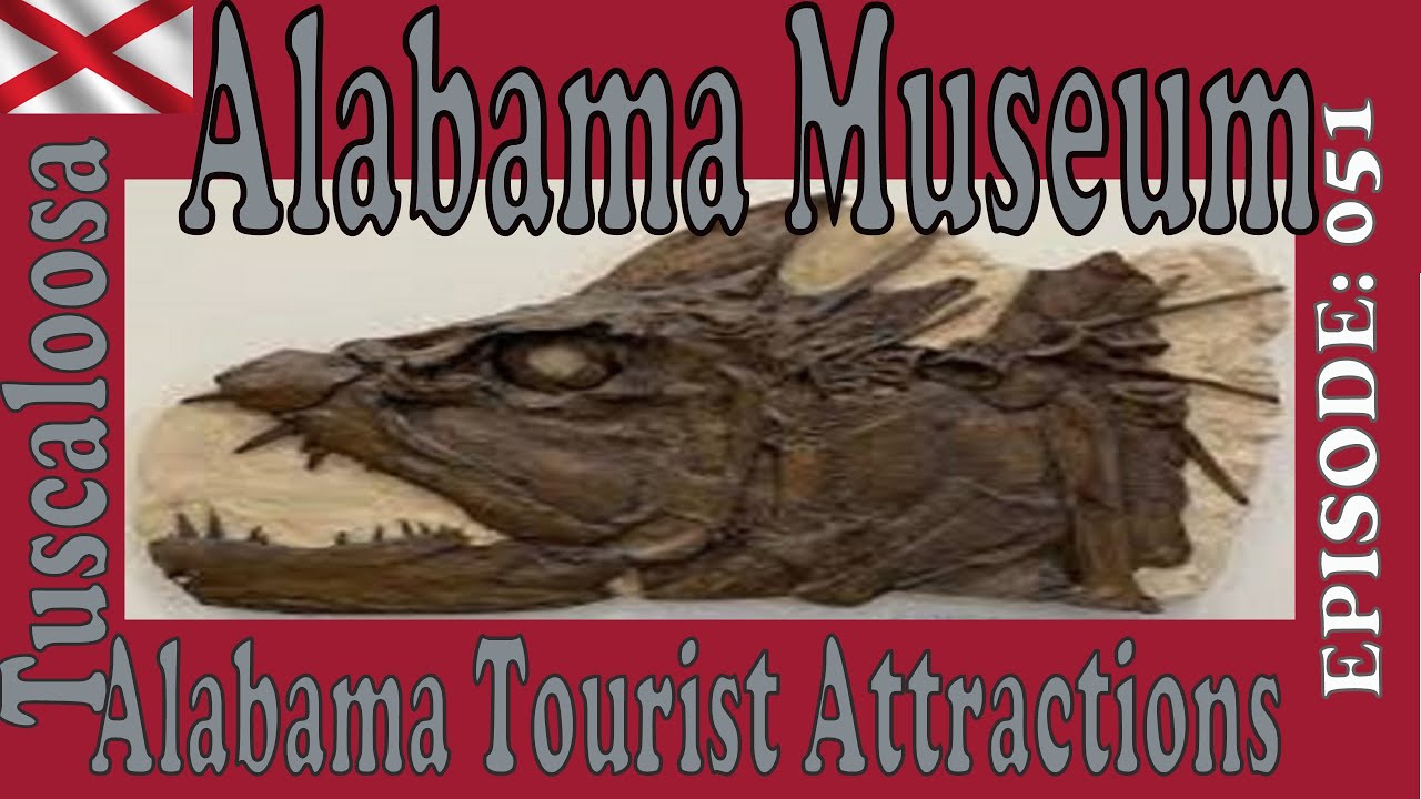 Alabama Museum of Natural History Tuscaloosa Alabama USA - YouTube