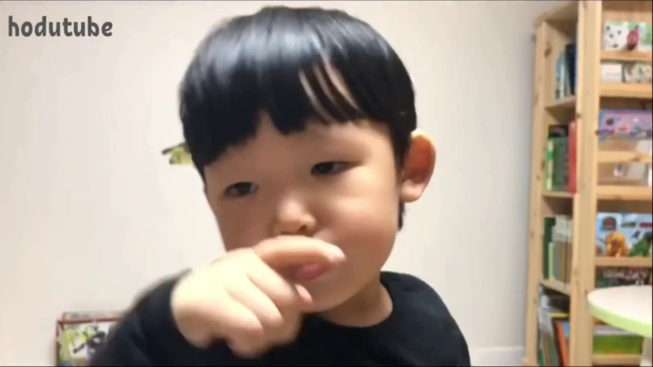 hoduTV_Play with carbot toy! Animal transformation!호듀티비. 헬로카봇 극장판 옴파로스 ...