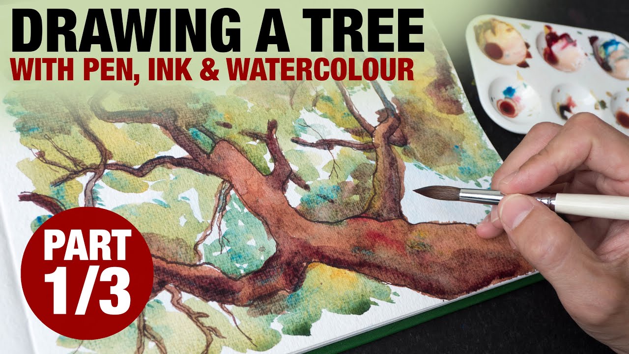 Drawing a tree with pen, ink and watercolour (Part 1/3) - YouTube