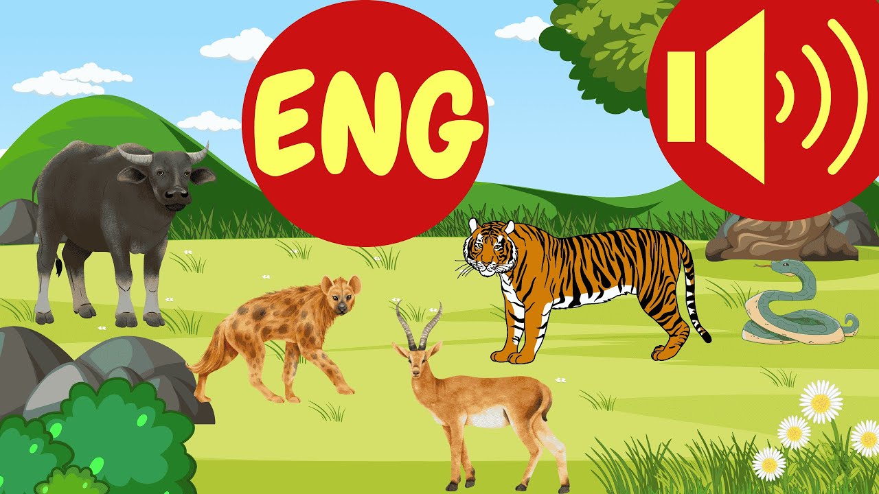 Educational video for childen, Learn African animals sounds and their ...