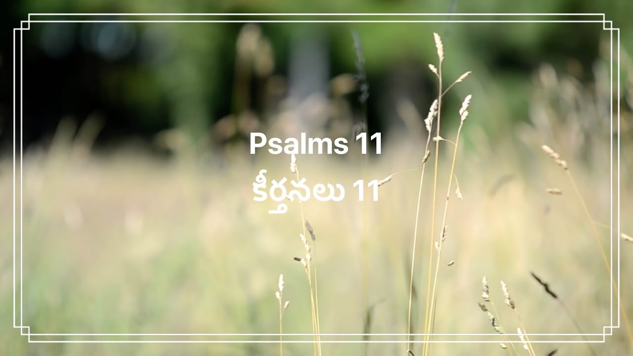 Telugu Bible Audio Psalm 11 11 Voice