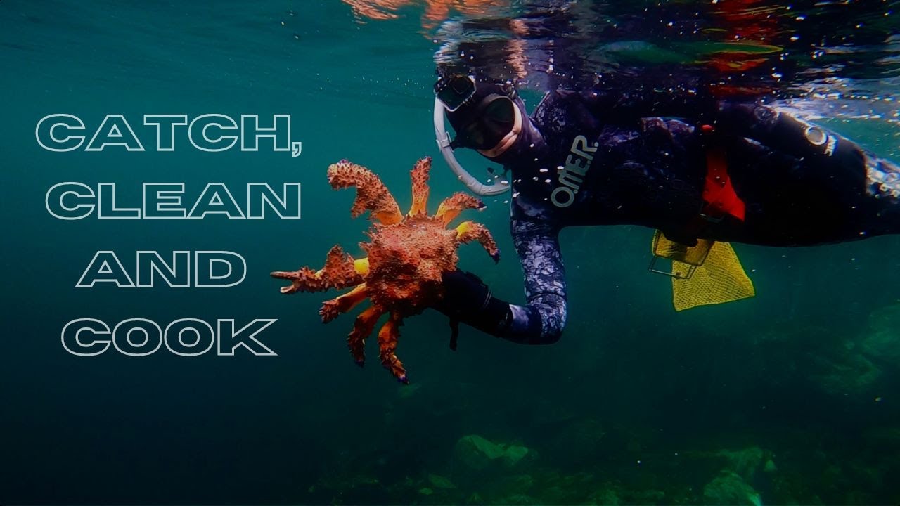 Tanks of The Oceans - My Frist Giant Puget Sound King Crab While ...