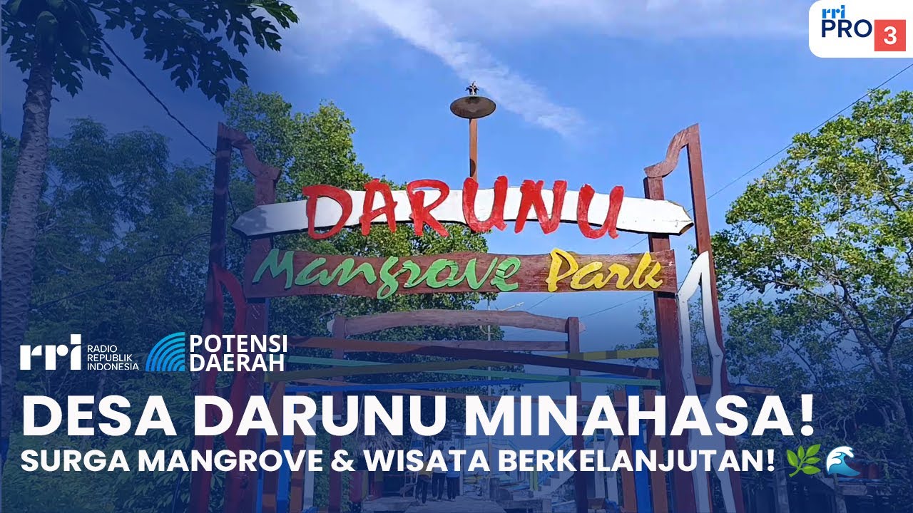 SURGA MANGROVE & WISATA BERKELANJUTAN! DESA DARUNU MINAHASA! 🌿🌊 - YouTube