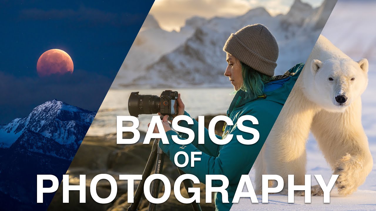 MASTER YOUR CAMERA In 10 Minutes Settings Dials And Functions YouTube master-your-camera-in-10-minutes-settings-dials-and-functions-youtube