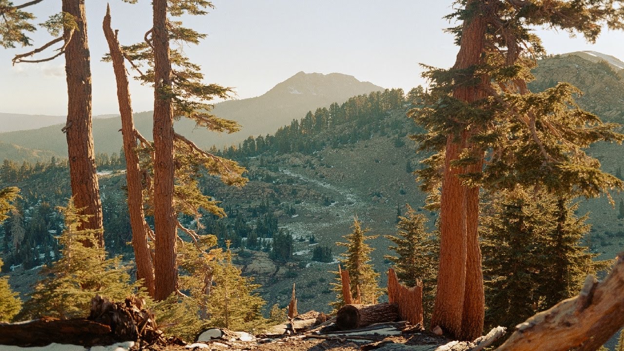 Landscape Photography with 120 Kodak Gold 200 | Pentax 67 - YouTube