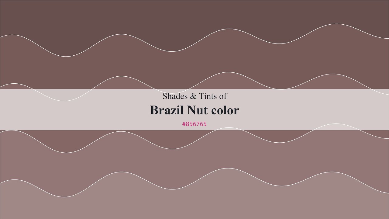Shades & Tints of Brazil Nut color #856765 A Warm Brown color #765b59 ...