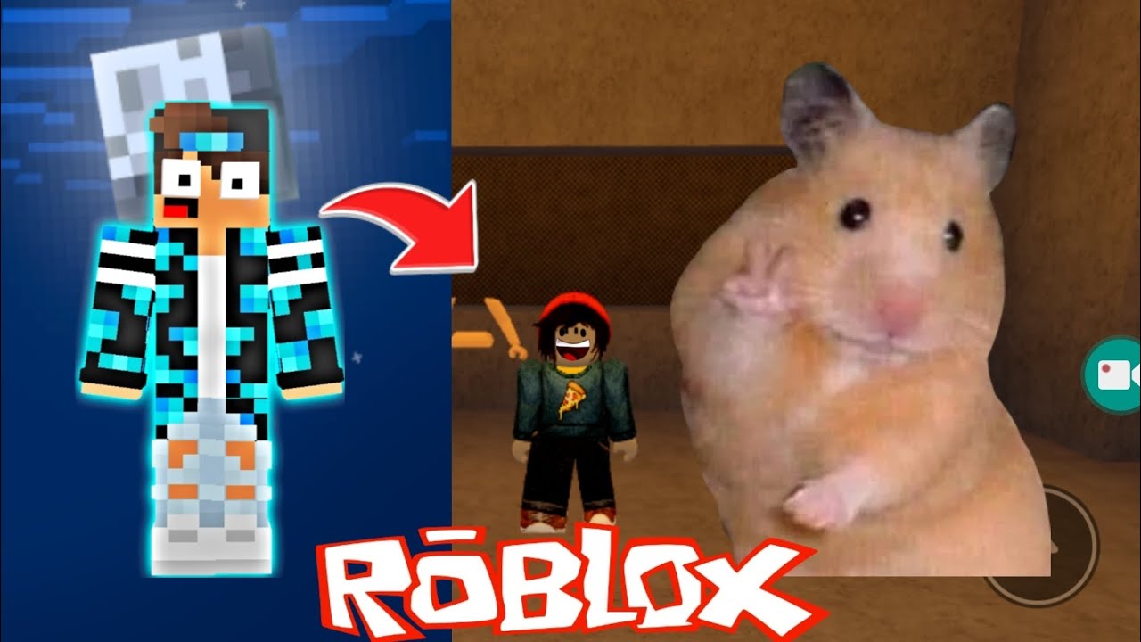 😀 parei no jogo do rato no roblox - YouTube