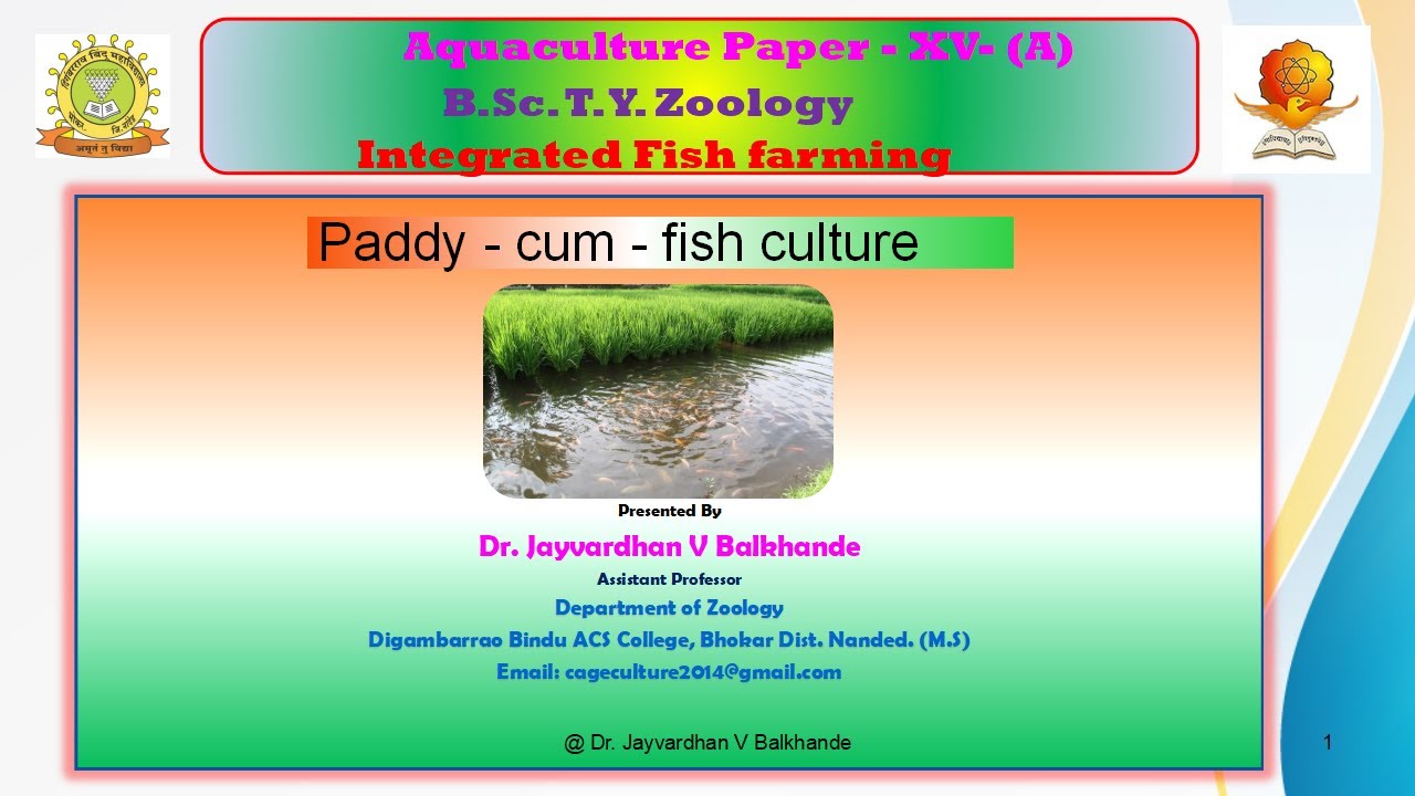 Integrated Fish Farming- Paddy cum fish culture - Dr. Jayvardhan V ...