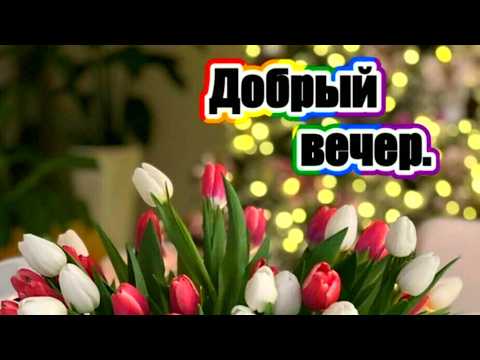 И снова вечер тихий наступает... Добрый вечер!