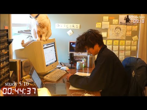 study with me live pomodoro | 12 hours