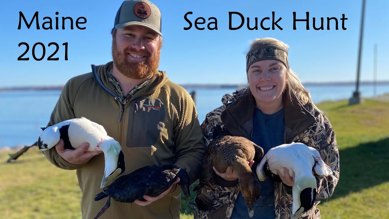 Maine Sea Duck Hunt Opening Weekend 2021 - YouTube