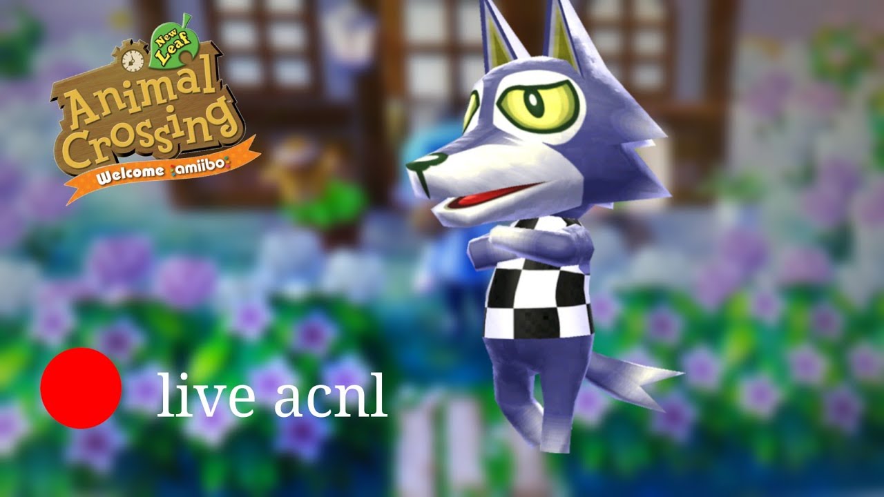 live acnl vener dans m'a ville #fr #acnl - YouTube