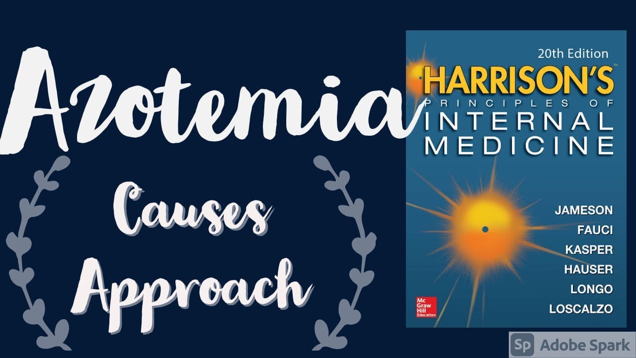 AZOTEMIA | Causes | Approach | Harrison - YouTube