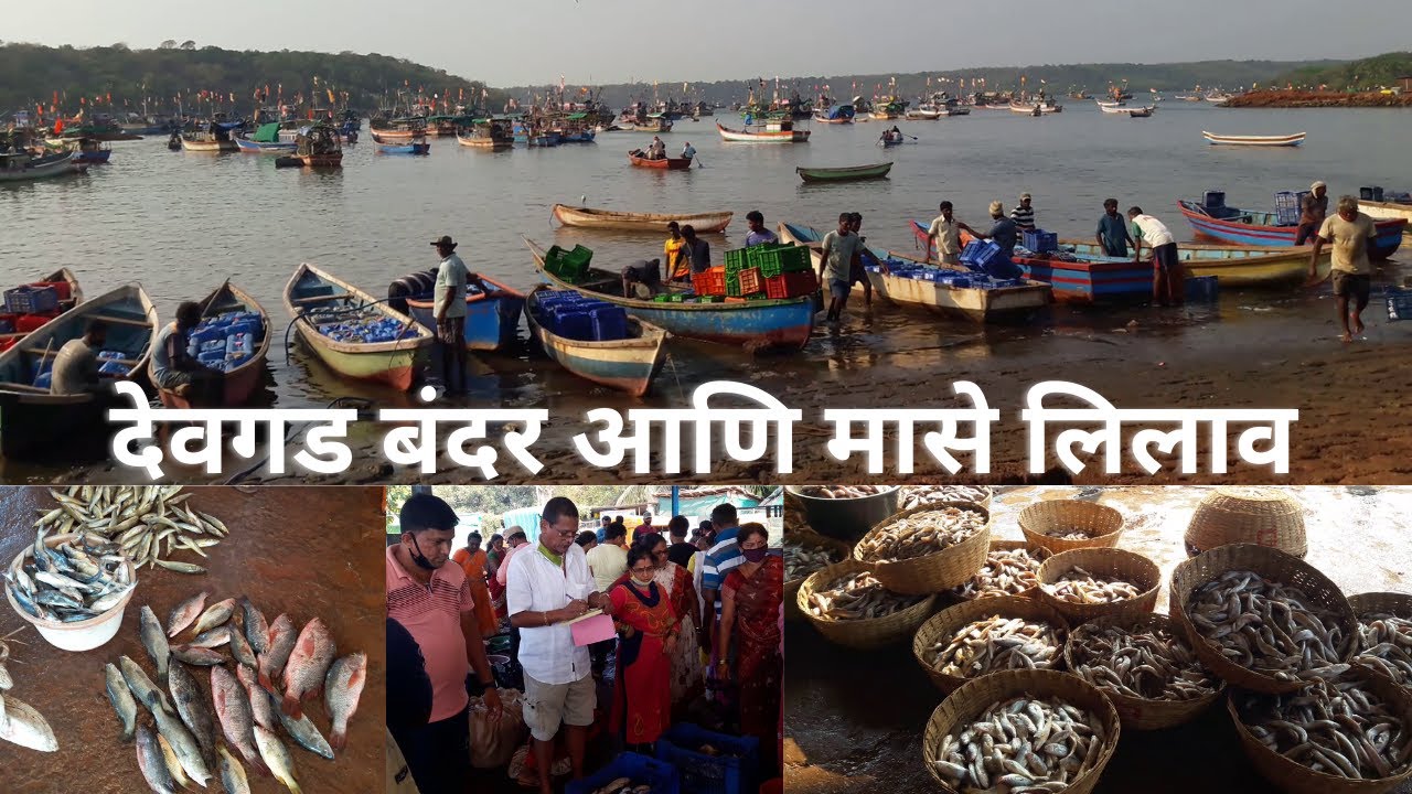 देवगड बंदर आणि मासे लिलाव Devgad Bandar (Port) Fish Auction # ...