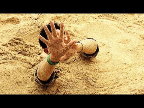 Bataklıkta Yaşamak İnsanın Kaderi? Lotus Çiçeği....