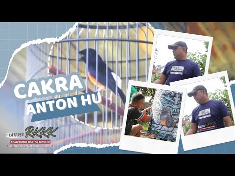 AKSINMB CAKRA MILIK MR ANTON HU DI G15 - YouTube