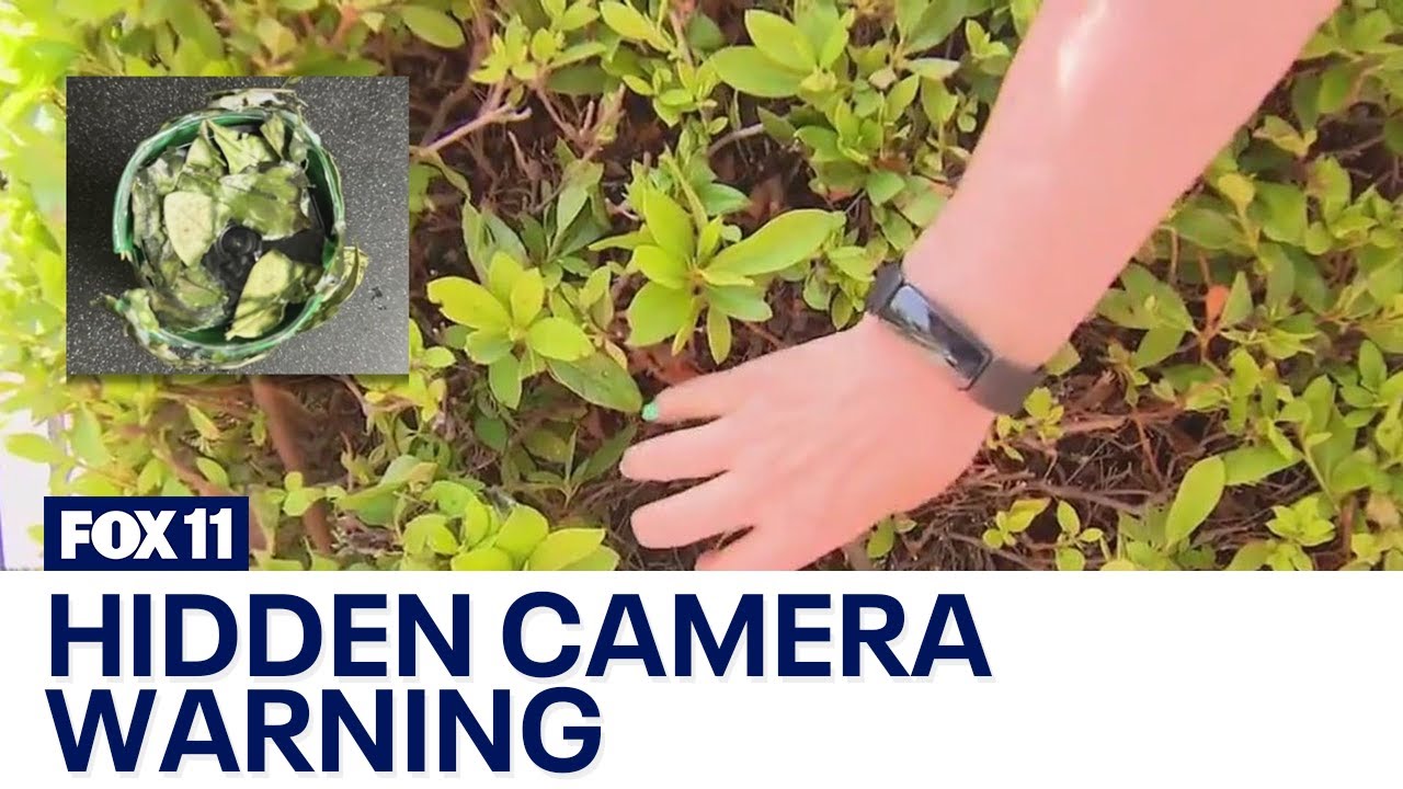 Alhambra homeowner finds hidden camera in bushes - YouTube