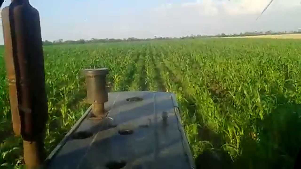 ЮМЗ-6 турбо окучивание кукурузы / JUMZ- 6 turbo earthing up of corn ...
