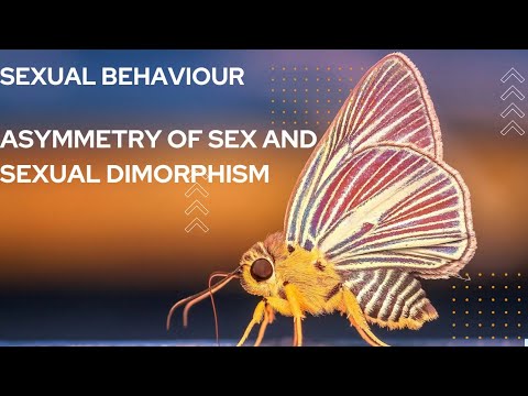 sexual behaviour,Asymmetry of sex and sexual dimorphism.#odia#zoology ...