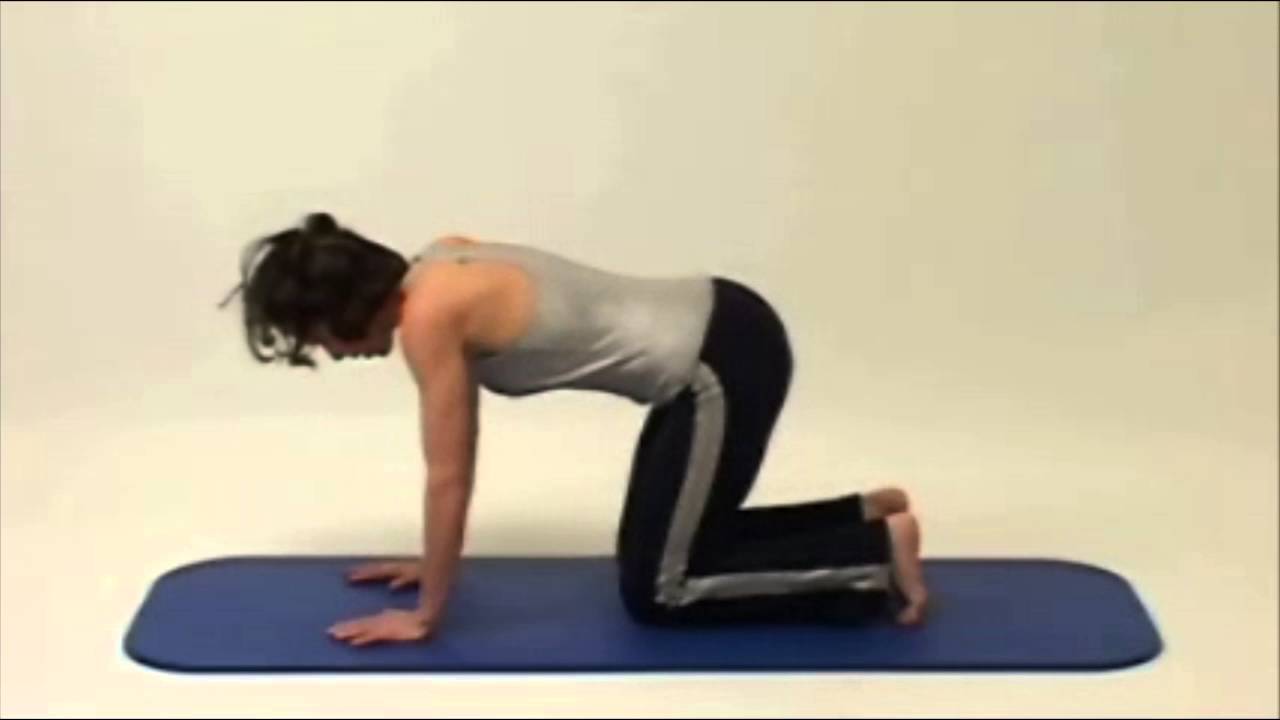 Pilates.de - Übung: Happy Elephant - YouTube