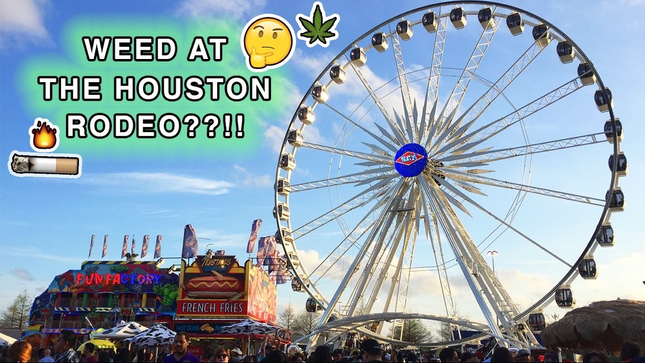 WEED AT THE HOUSTON RODEO?? - YouTube
