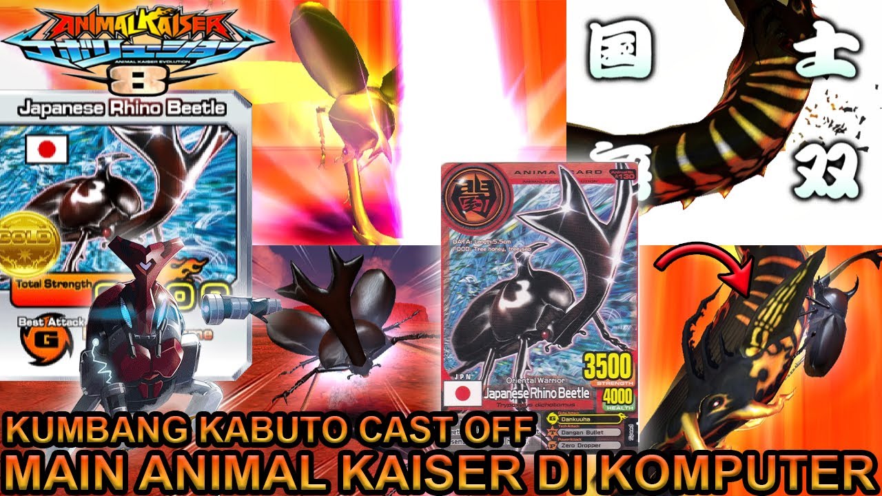 KUMBANG KABUTO JAPANESE RHINO BEETLE DI KOMPUTER !!! - ANIMAL KAISER ...