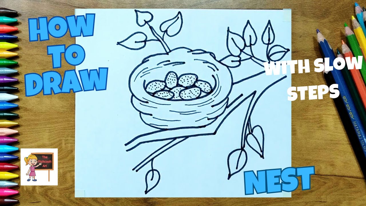 How to draw🖌️a🐣 NEST 🐣||easy for kids☺️||step by step||coloring🎨 ...