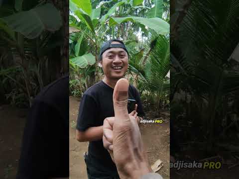 Dibalik Pembuatan Video || Creator GARUT TURUNAN KIDUL dan YouTubers TEDHONG TELU || Ds. BOKOL