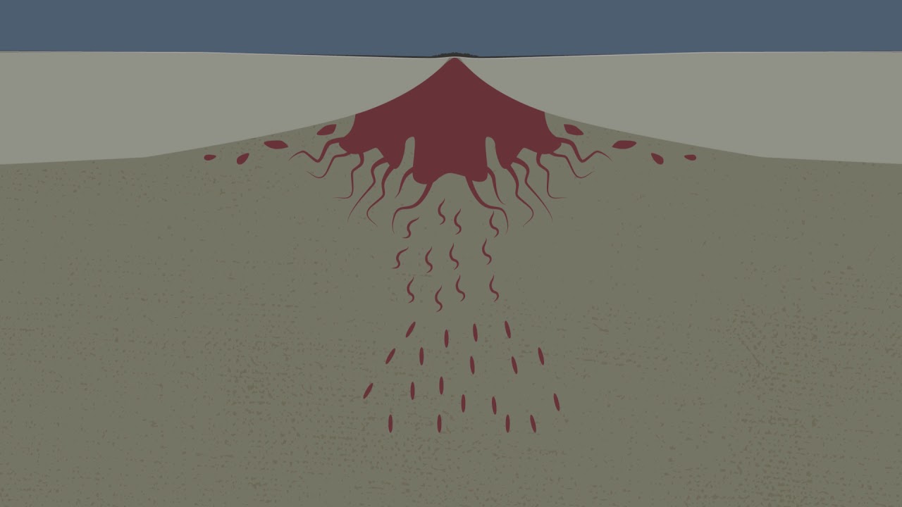 Volcanism 66 Million Years Ago during the Cretaceous Period - YouTube