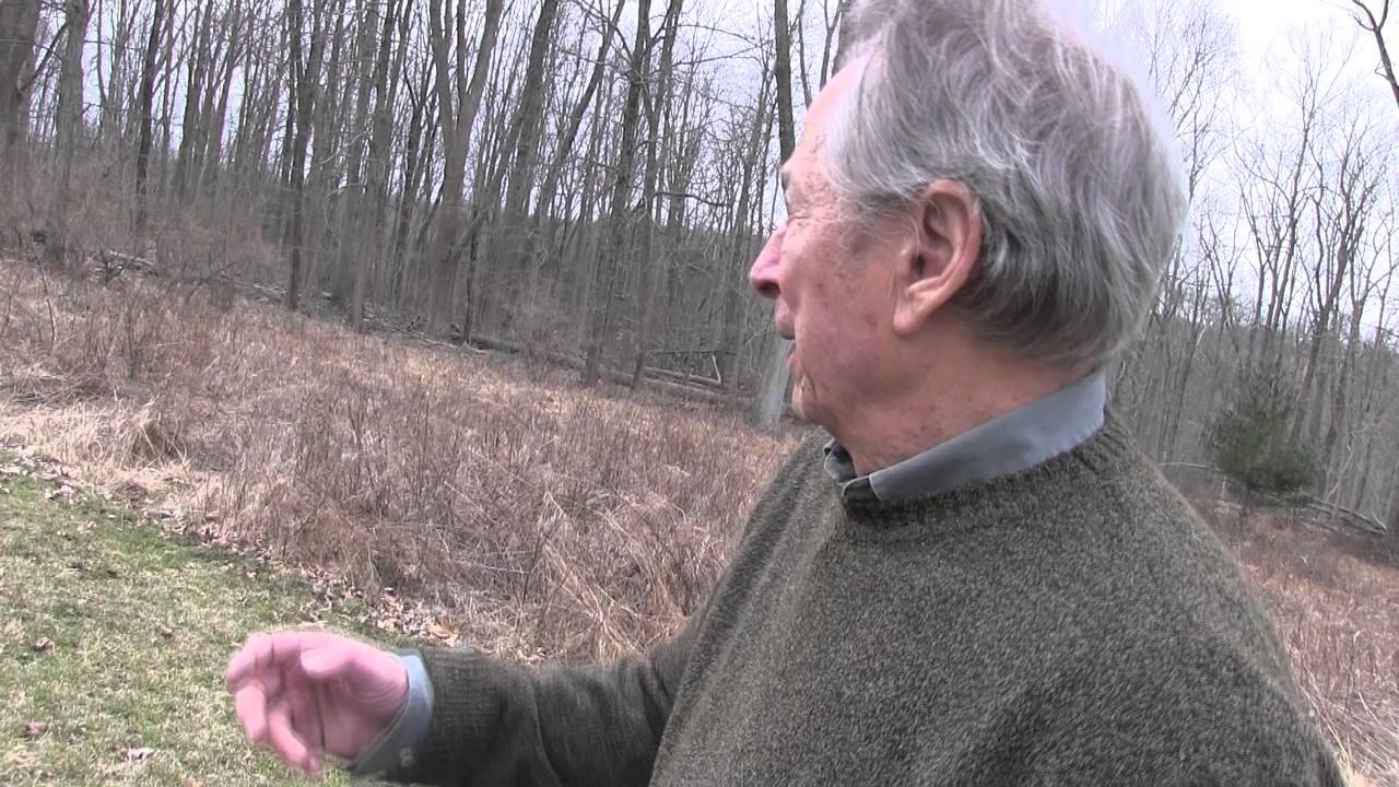 Alan Goldstein Painter - YouTube