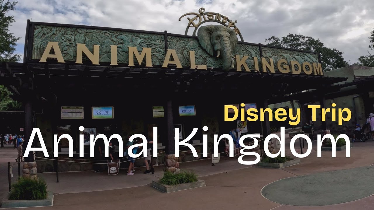 Animal Kingdom - Disney Trip - YouTube
