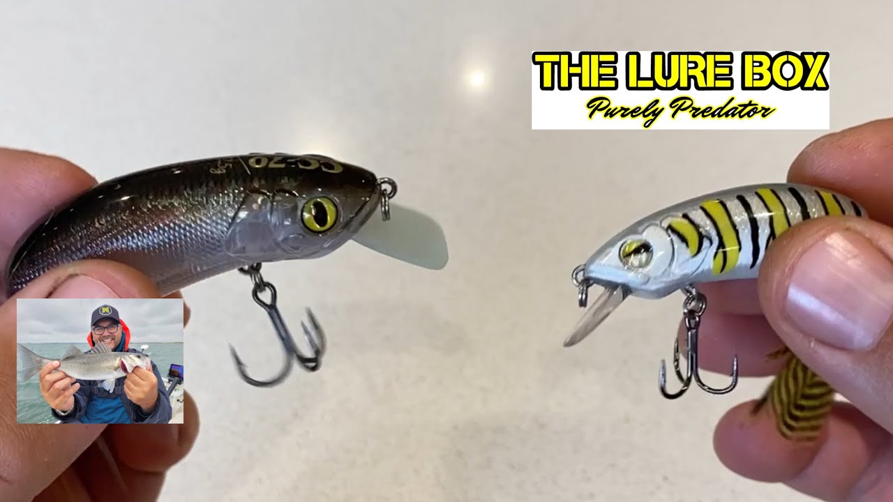 Quick look - LUREFANS CUNNING CUB 5CM - CC50 & CC70 #lurefishing # ...