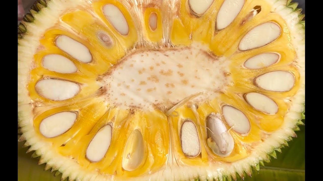 How to chop ripe jackfruit. - YouTube
